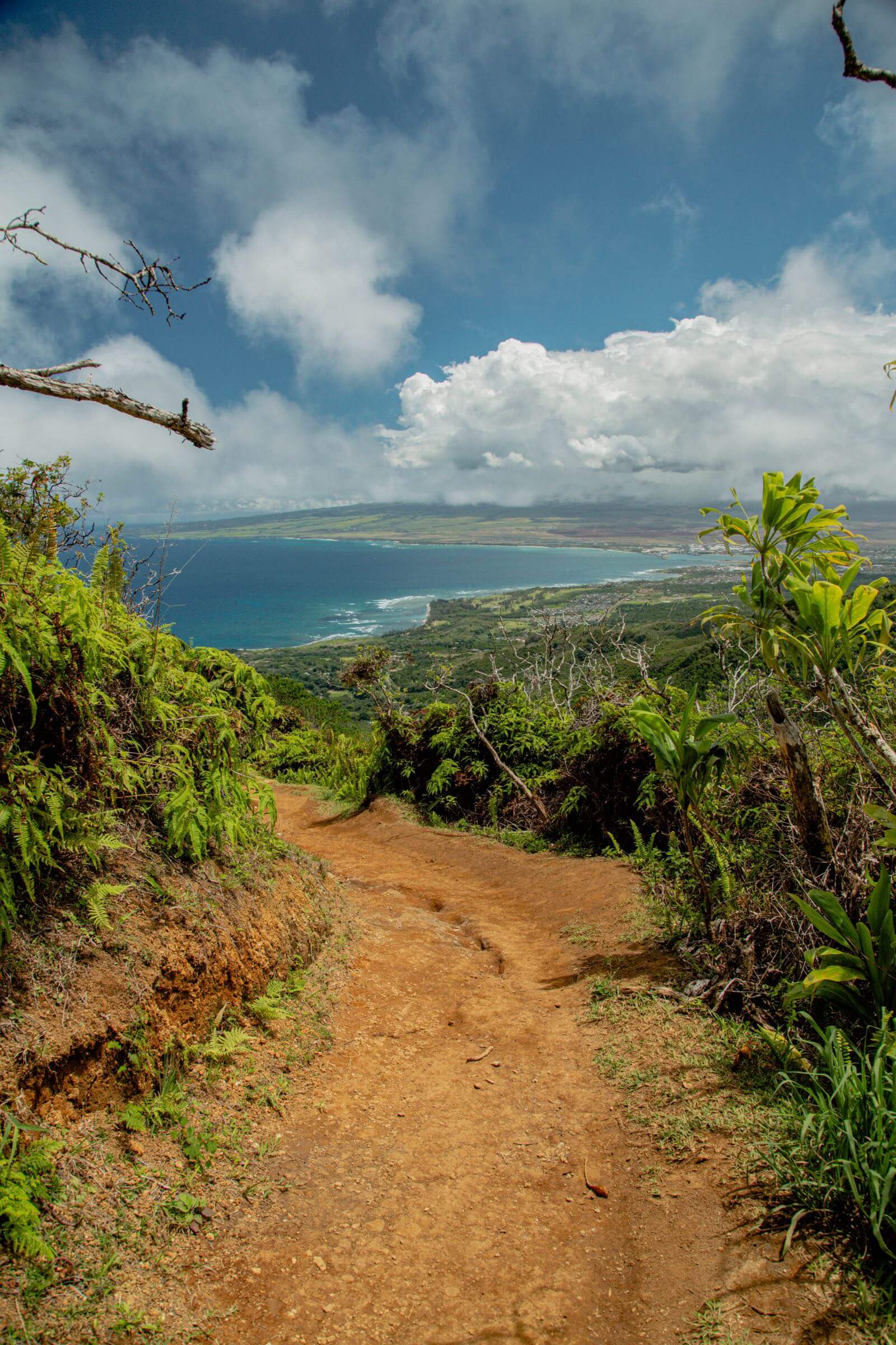 Hiking Mahana Ridge Trail on Maui (Local's Guide) - Im Jess Traveling