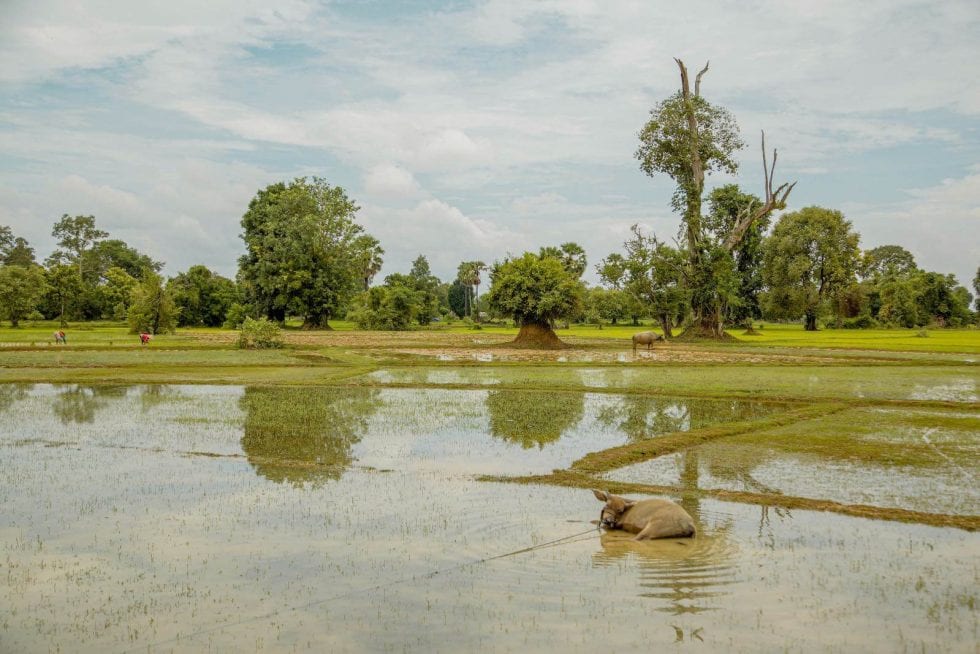 Don Det, Laos - A Guide to 4000 Islands Laos - Im Jess Traveling