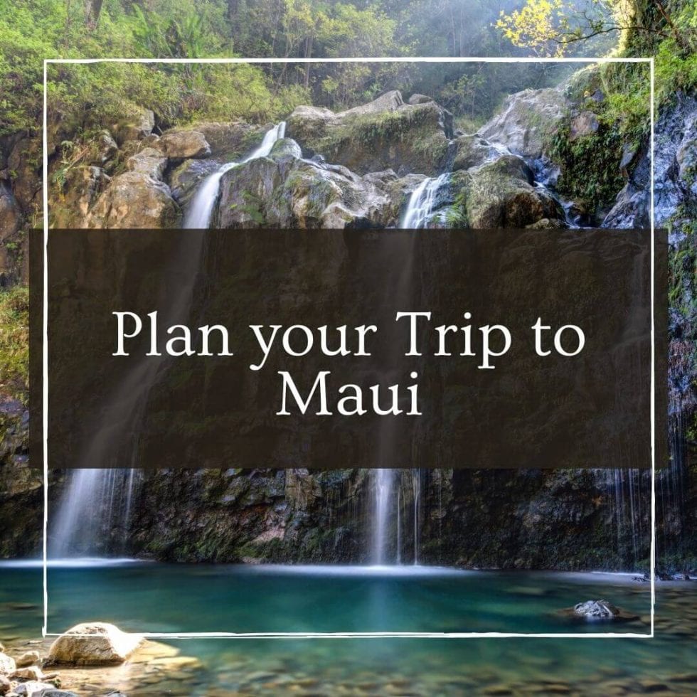 Exploring Waioka Pond Venus Pool Maui Hawaii Im Jess Traveling
