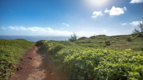 A Guide to Hiking the Ohai Trail, Maui - Im Jess Traveling