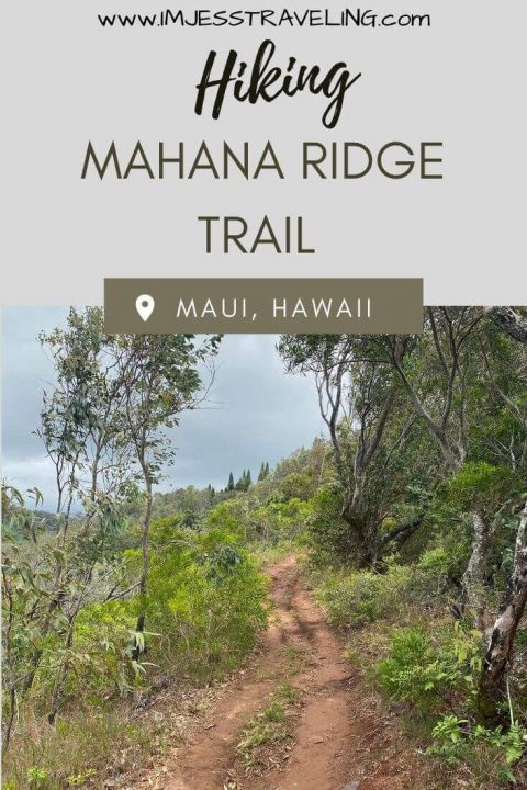Hiking Mahana Ridge Trail on Maui (Local's Guide) - Im Jess Traveling