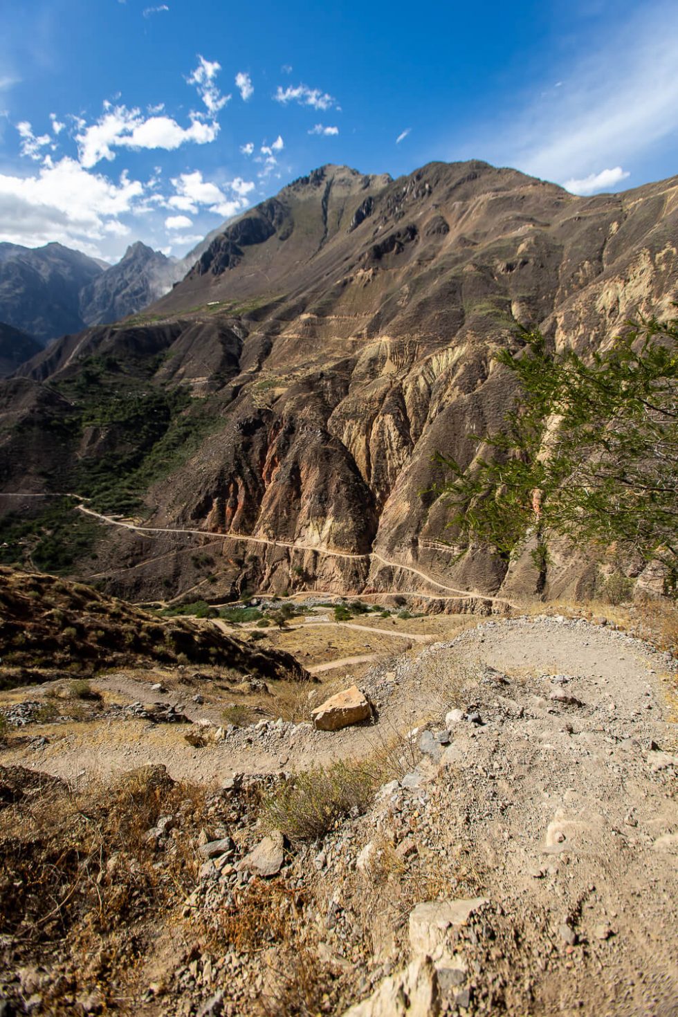 15 Things to Know About the Colca Canyon Trek - Im Jess Traveling