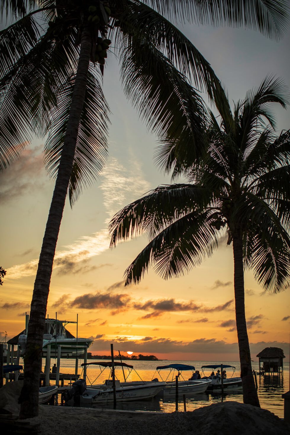 How to Get to Caye Caulker from Belize City (Trip Guide) - Im Jess ...