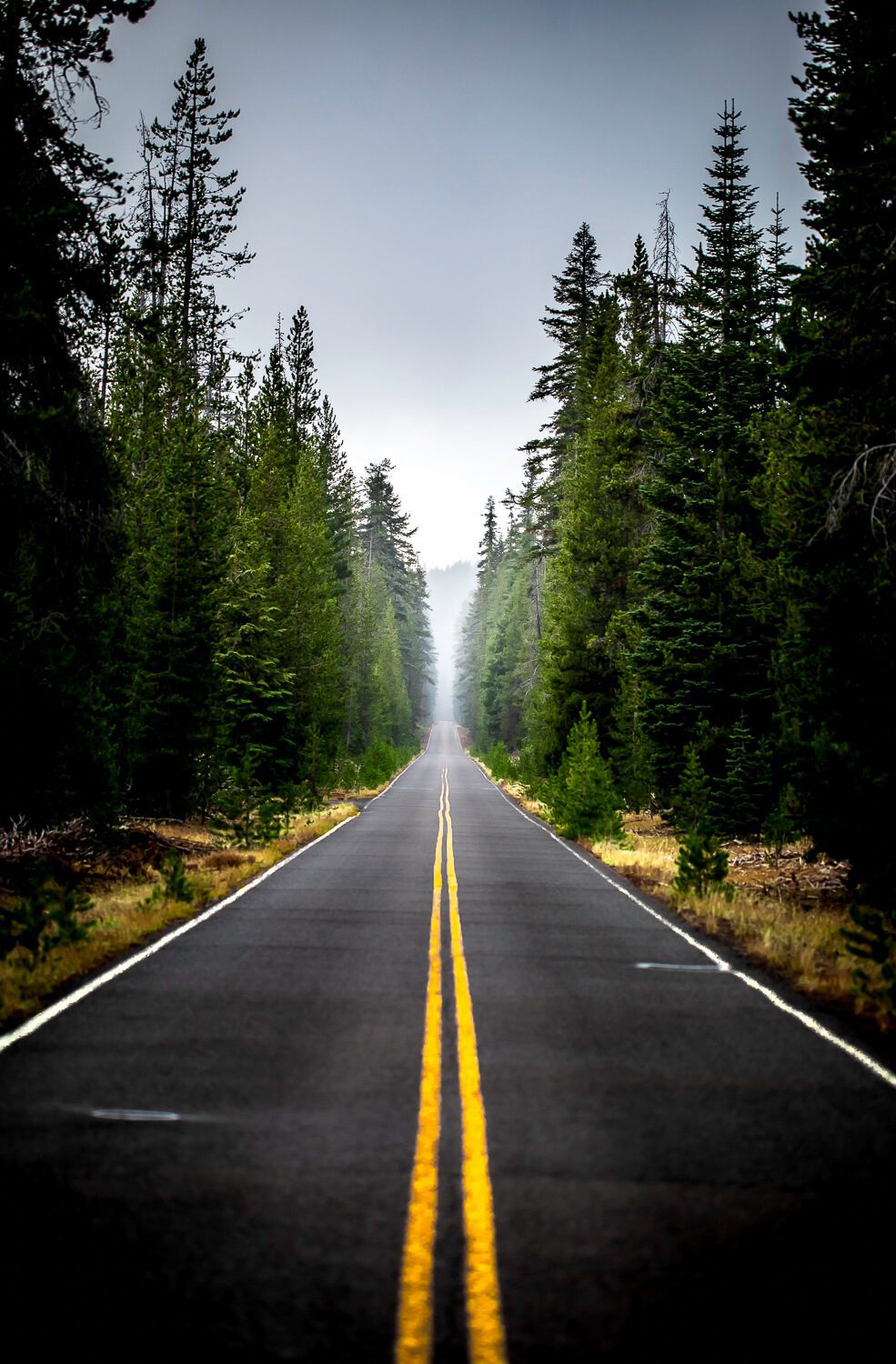 14 Epic Things to do in Florence, Oregon - Im Jess Traveling