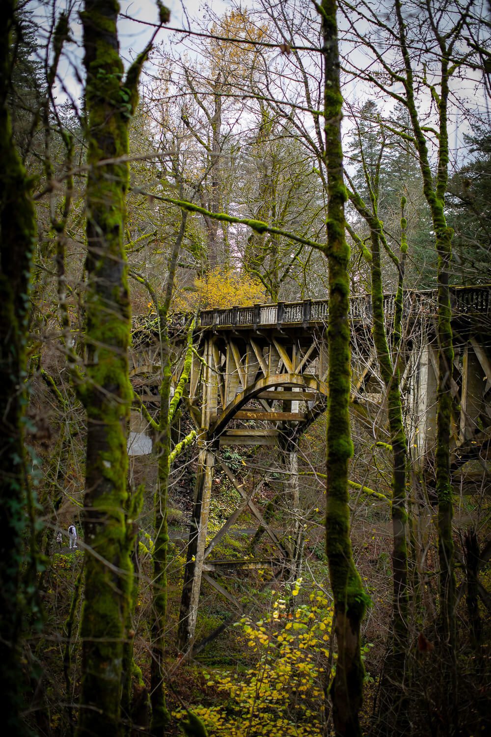 Best Things to do in the Columbia River Gorge - Im Jess Traveling