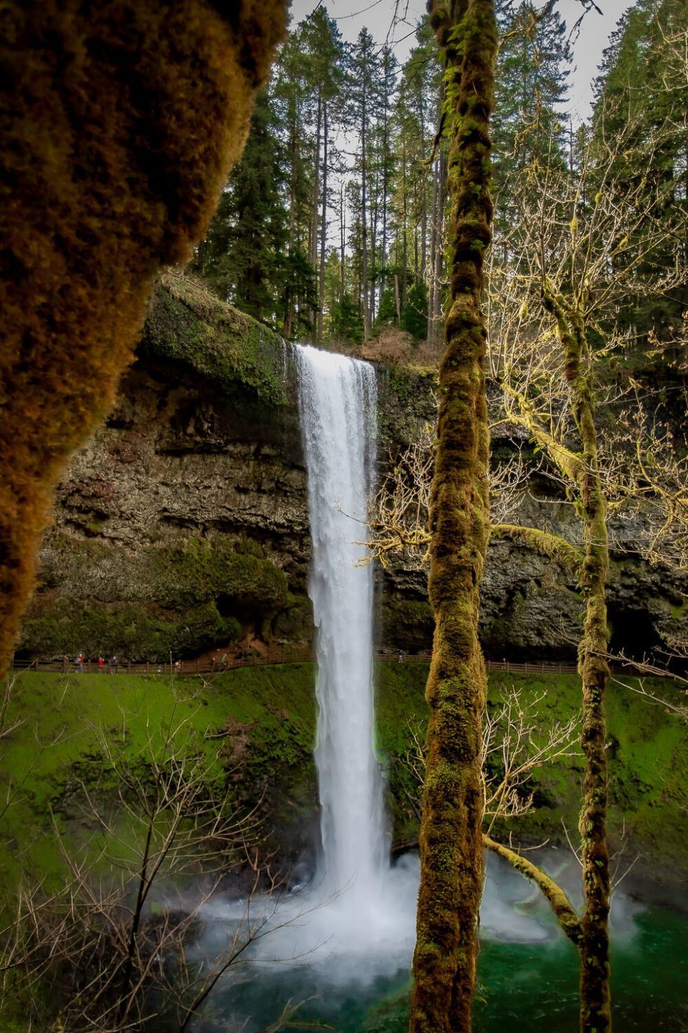Trail of Ten Falls Hike at Silver Falls State Park - Im Jess Traveling