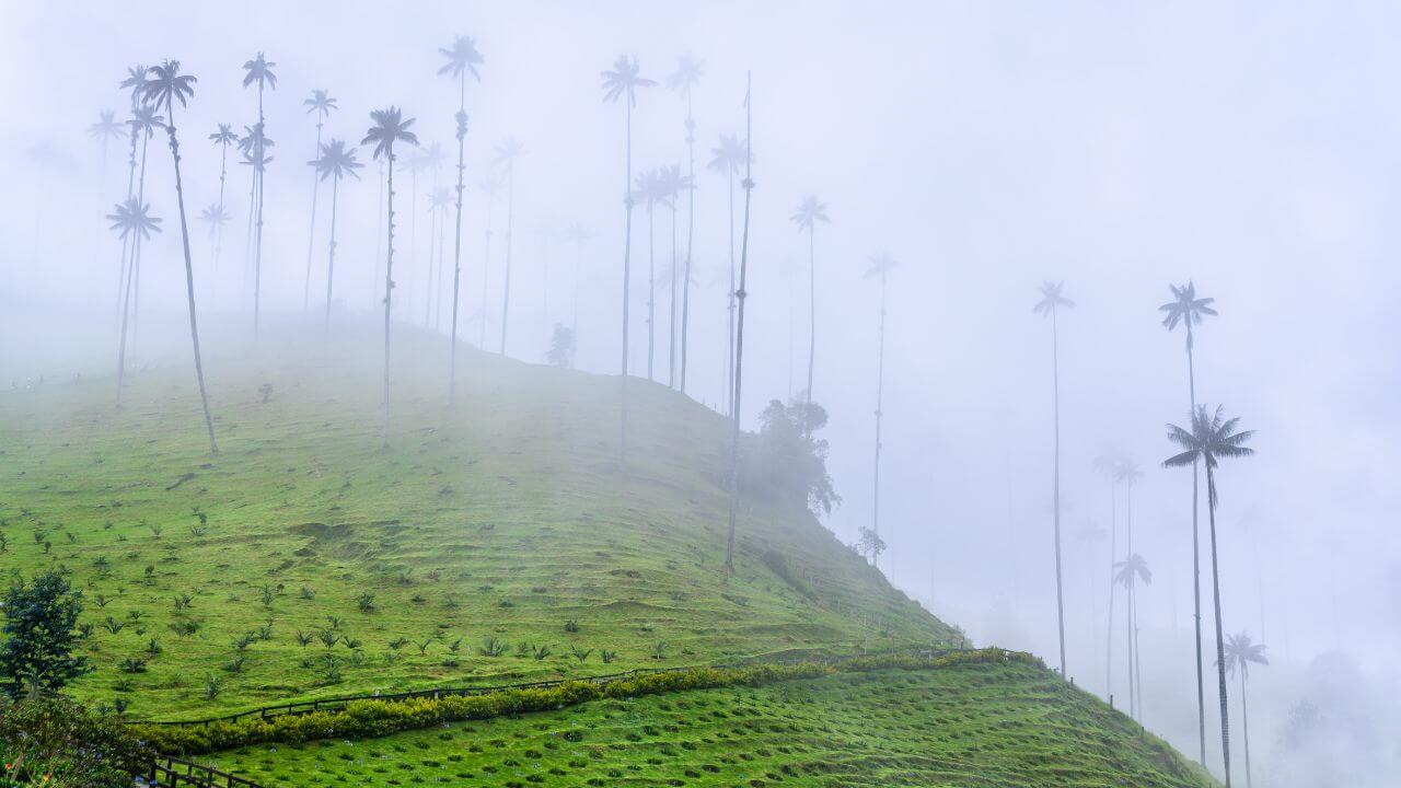visit colombia in may
