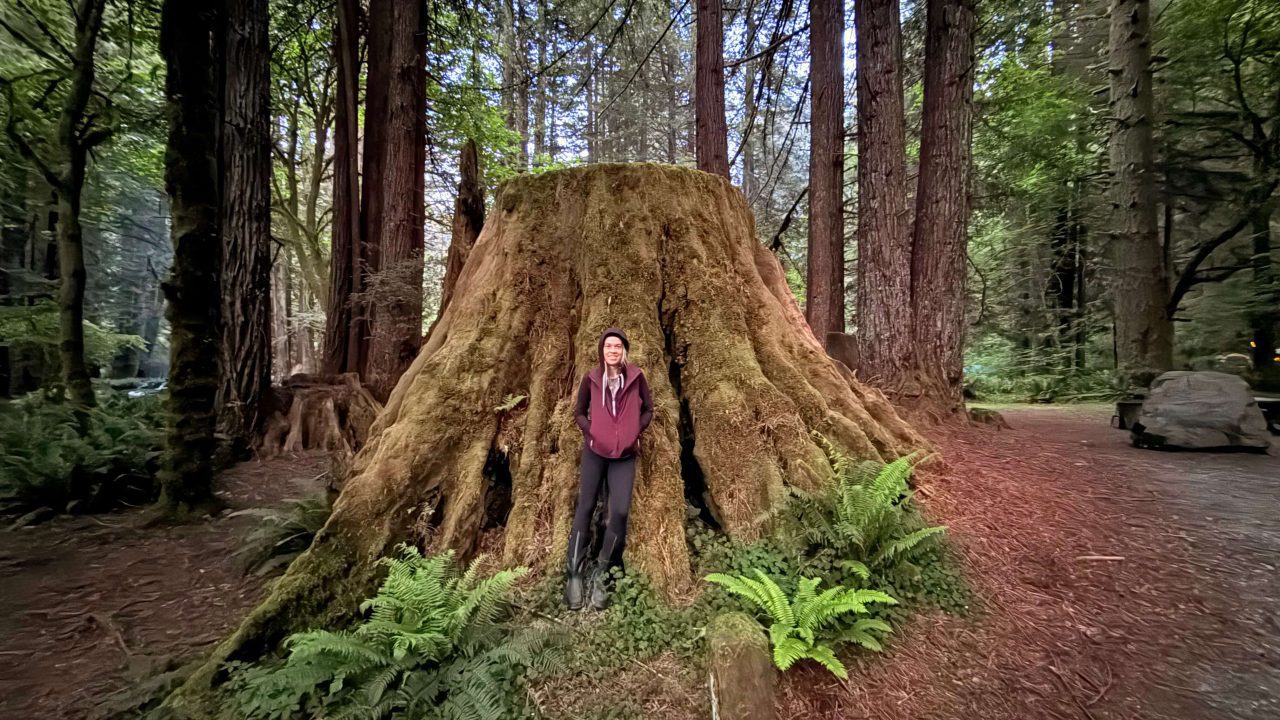 12 Epic Hikes in Redwood National Park | Hiking Redwoods - Im Jess ...