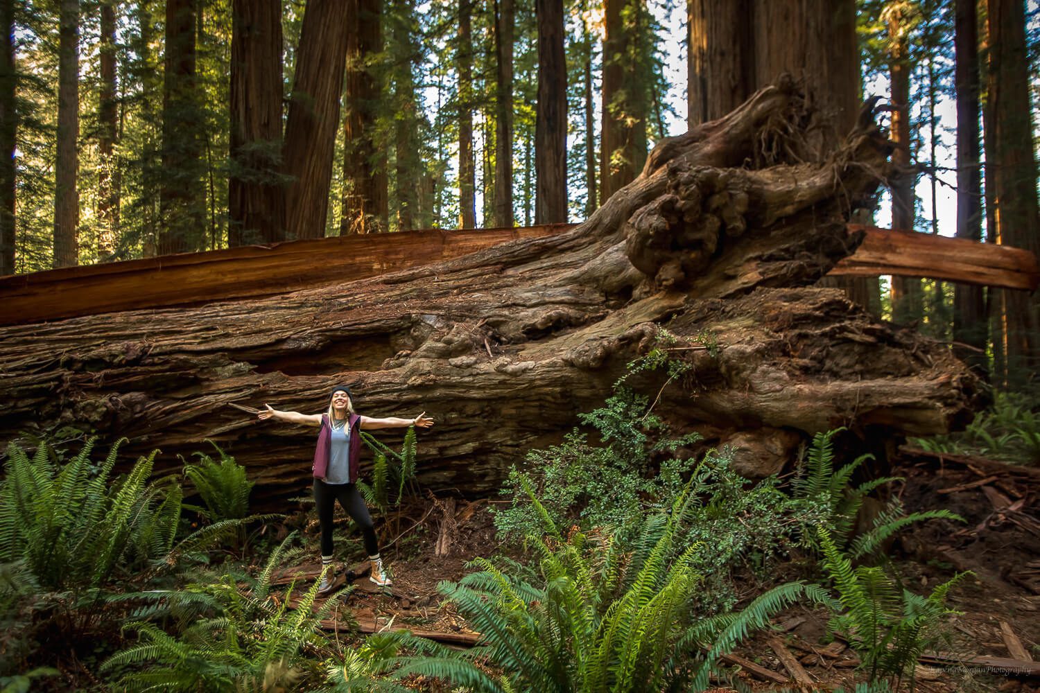 12 Epic Hikes in Redwood National Park | Hiking Redwoods - Im Jess ...