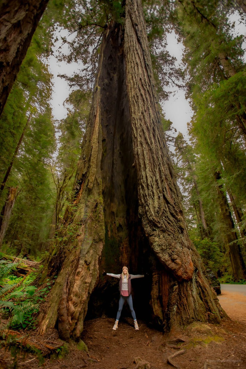 12 Epic Hikes in Redwood National Park | Hiking Redwoods - Im Jess ...