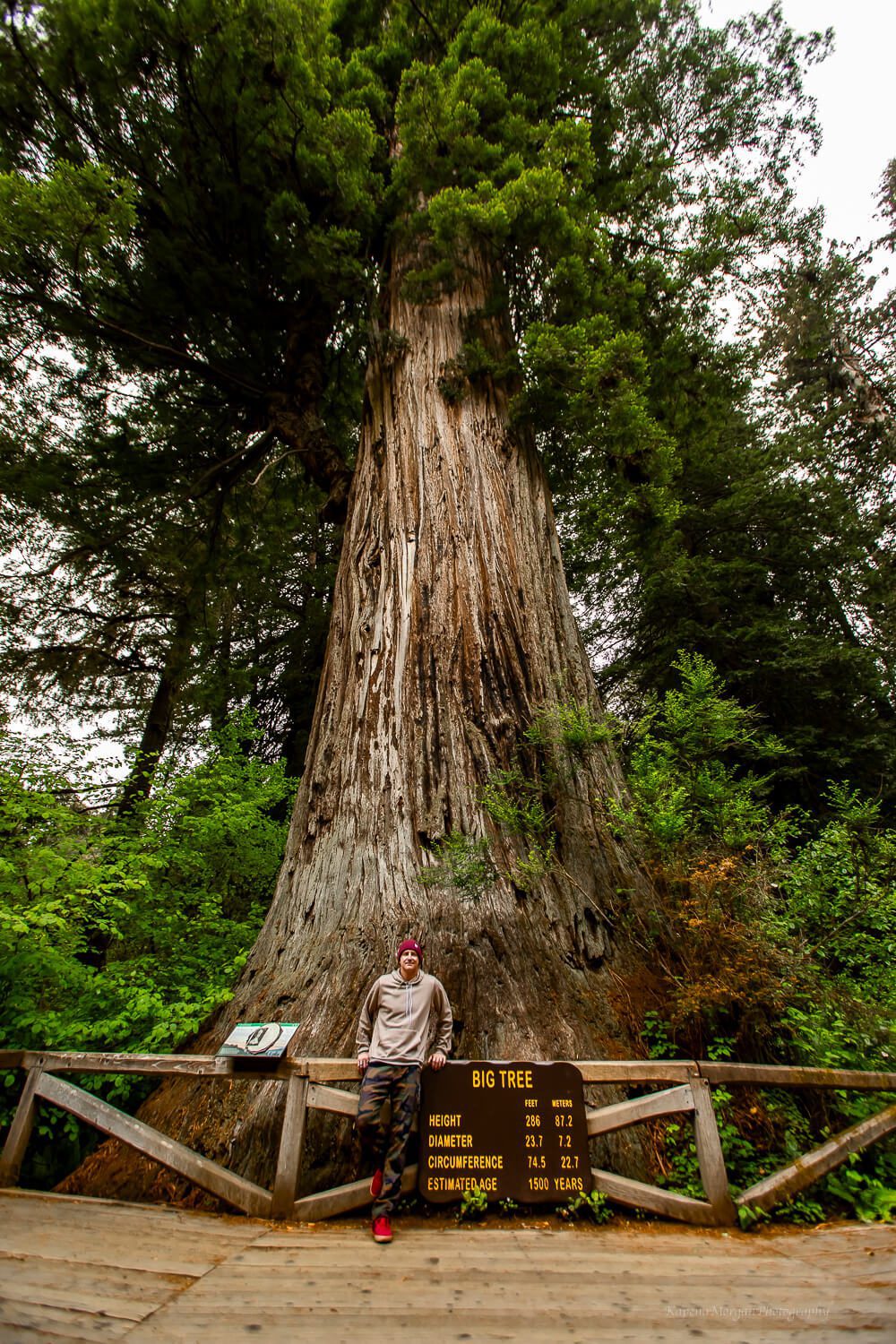12 Epic Hikes in Redwood National Park | Hiking Redwoods - Im Jess ...